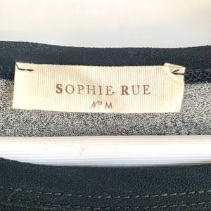 Sophie Rue | Tops | Sophie Rue Metallic Sleeveless Sheer V Top | Poshmark